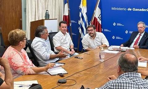 Blasina y Asociados - Agronegocios y Comunicación - Blasina y Asociados