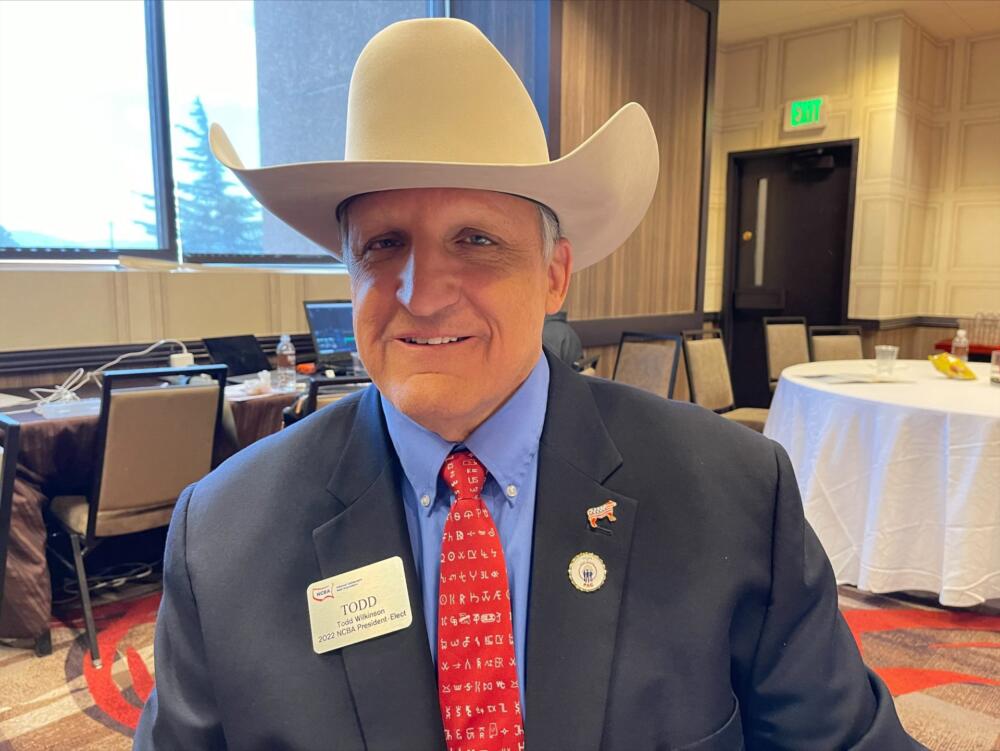 Ganaderos de EEUU piden al USDA que suspenda importaciones de carne de ...