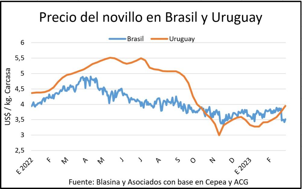 Precio del novillo en Uruguay supera en 10% al de Brasil - Blasina y ...
