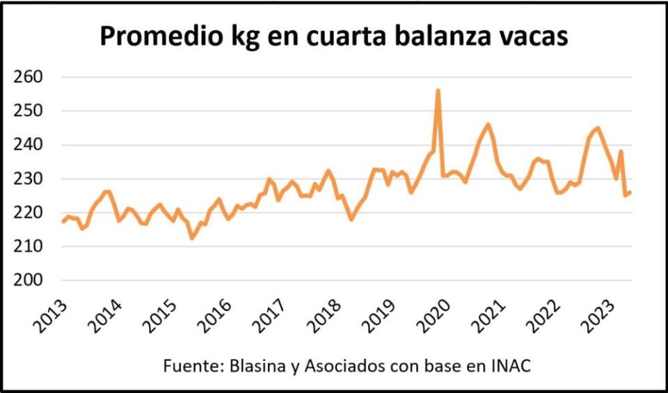 El peso de las vacas a faena cae más que el de los novillos - Blasina y ...