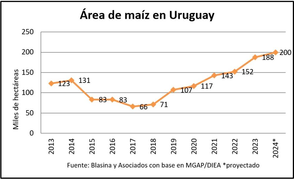 Uruguay volvió a exportar maíz después de casi dos años - Blasina y Asociados