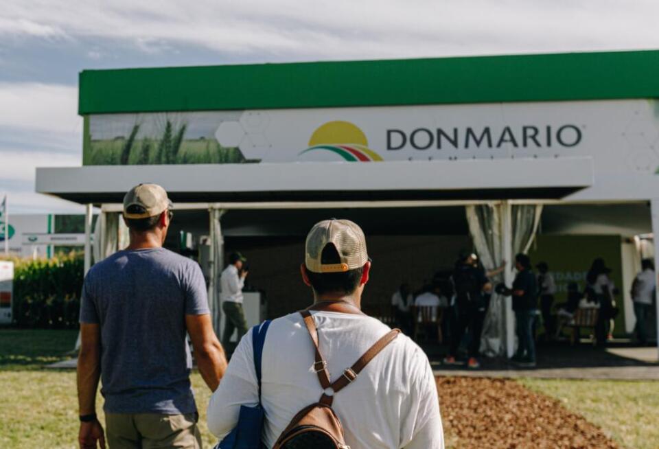 Grupo Don Mario adquiere el negocio de maíz y sorgo de KWS en ...