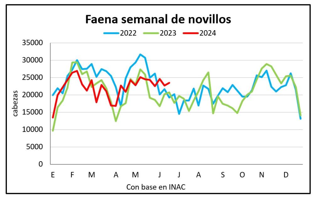La faena se mantiene arriba de 45 mil cabezas y el 16% se concentró en ...