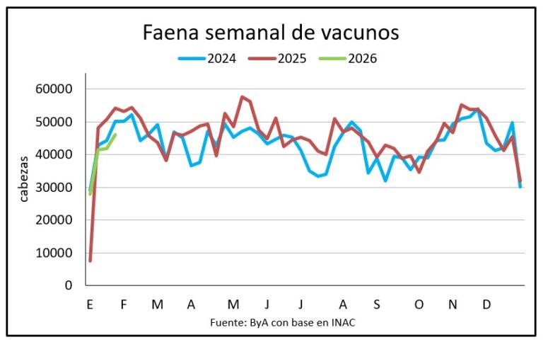 La faena vacuna se empieza a recuperar y crece 10% - Blasina y Asociados